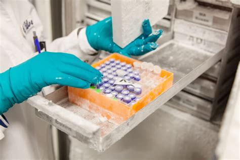 Biosimilar Comparability Exercise Evidentic Gmbh