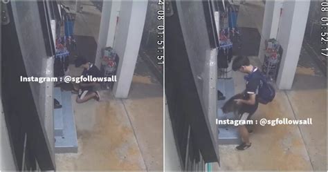 Sporean Pleads Guilty To Committing Sexual Act On Neighbours Cat