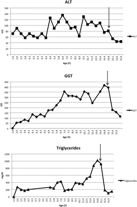 Alt Ggt And Triglyceride Levels During Follow‐up Gray Lines Indicate Download Scientific