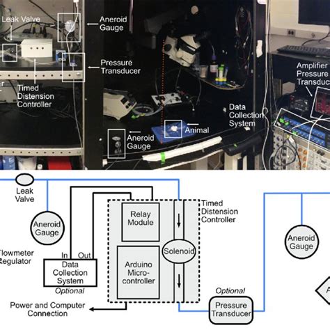 Complete Assembly And Flow Diagram A A Labeled Picture Of The Whole Download Scientific