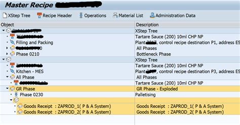 Xsteps Execution Steps Configuration For Two Dif Sap Community