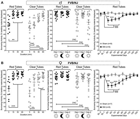 Effect Of Sex Tube Color Assay Duration And Time Of Day Lighting On Download Scientific