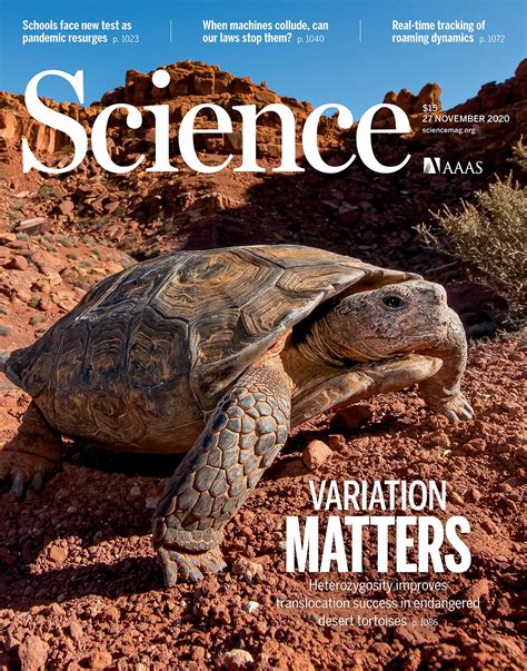 A Chimeric Gene Paternally Instructs Female Sex Determination In The