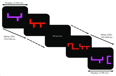 Cambridge Neuropsychological Test Automated Battery Prm Test Designed Download Scientific
