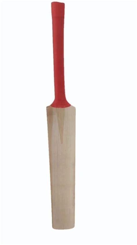 Small English Willow Cricket Bat Grade 3 At ₹ 3000 Piece In Meerut