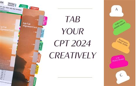 Index Tabs For Cpt 2024 Professional Edition Laminated