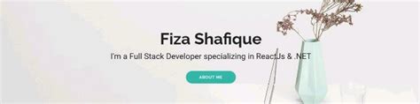 fiza shafique full stack developer react js node js express js mongodb sql