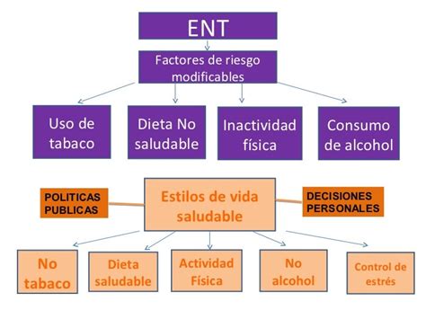 View Mapa Conceptual De Estilo De Vida Saludable Pictures - Nueva