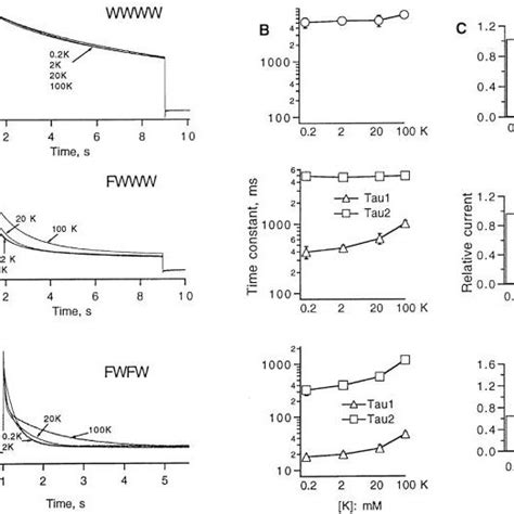 Effect Of Extracellular Potassium On Inactivation Kinetics And Peak