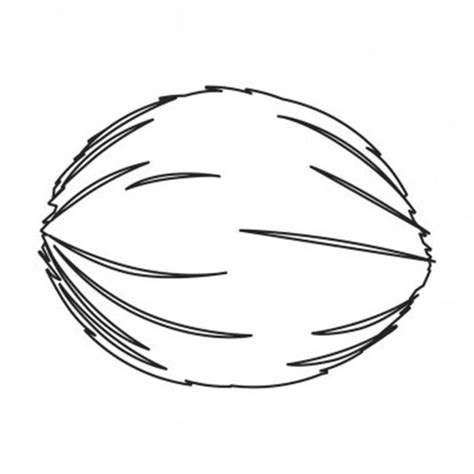 55 Desenhos De Coco Para Imprimir E Colorirpintar