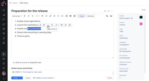 Rich Text Editor Youtrack Server Documentation