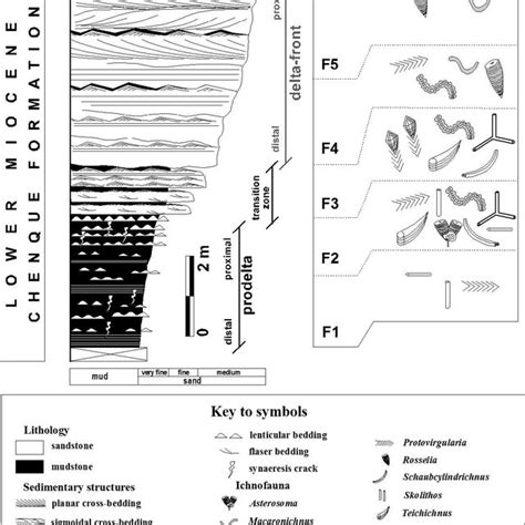 Pdf Taphonomy And Paleoecology Of The Bivalve Trace Fossil