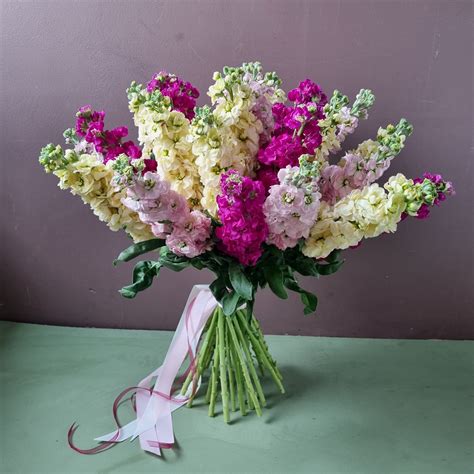 Архивы Монобукеты - miflora