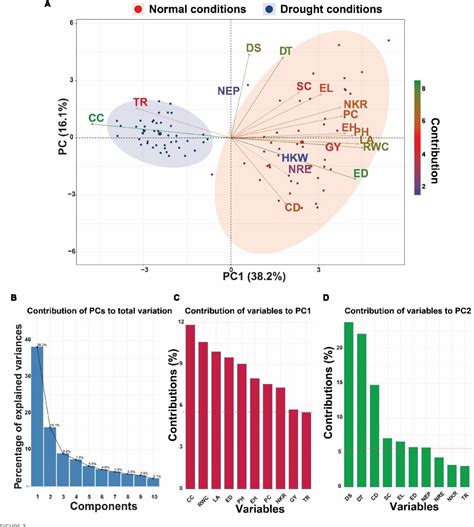 Figure 2 From Determination Of Morpho Physiological And Yield Traits Of Maize Inbred Lines Zea