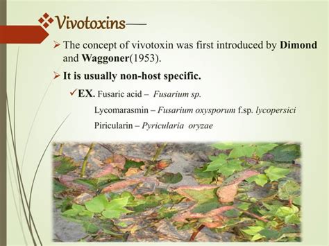 Role Of Microbial Toxins In Plant Pathogenesis Pptx