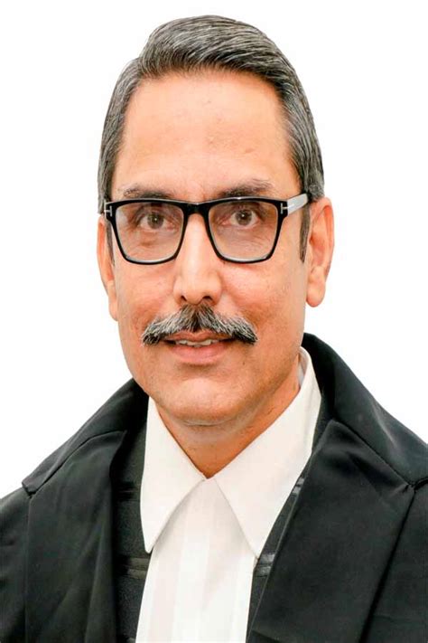 Cdj Law Journal