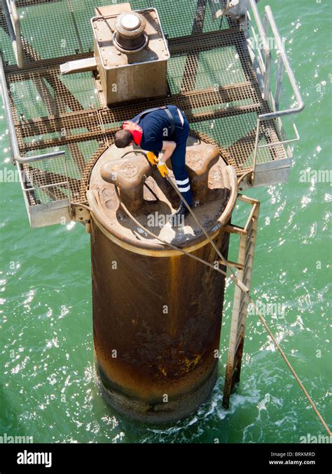 A French Docker In Red Safty Belt Unties A Ferry At The Ferry Terminal