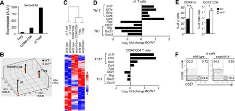 Transcriptome Analysis Of T Cell Lineages In Lungs Of Naive Wt And