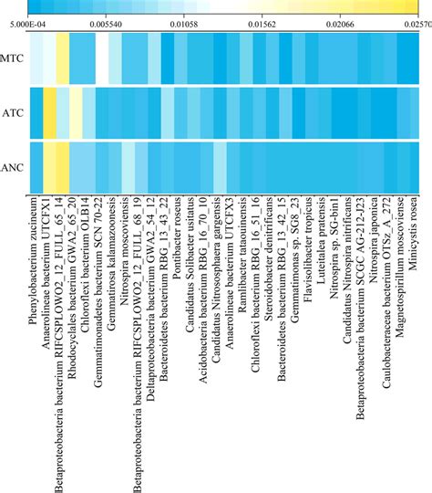 Split Heatmap Of The Microbial Community At The Species Level In
