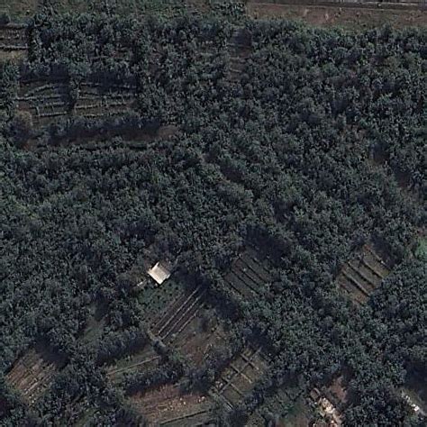 Segmentation Aerial Image Instance Segmentation Model By Multipurpose