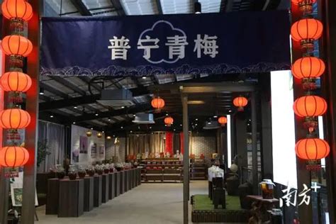 青梅产业再获荣誉！普宁市高埔镇上榜首批国家农业产业强镇 普宁市政府门户网站