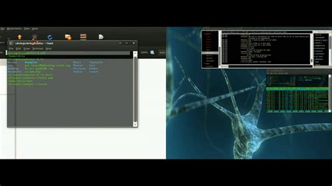 copy files using terminal in linux ubuntu youtube