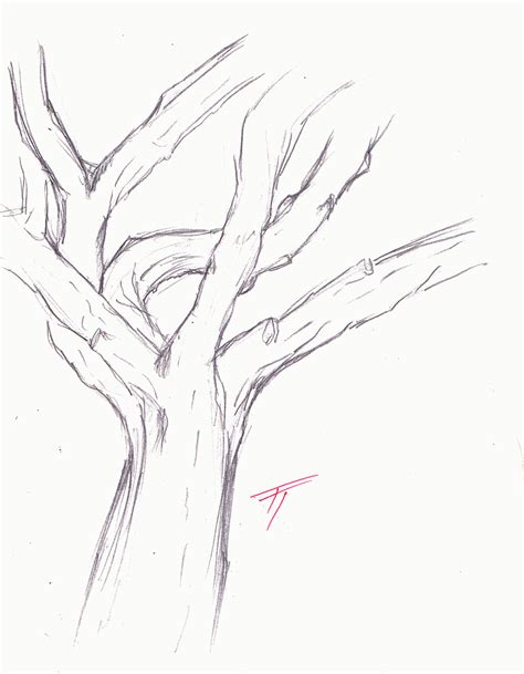 Tree Trunkcoloring Page Coloring Nation