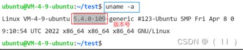 Linux操作系统linux查看后缀为c的文件 Csdn博客
