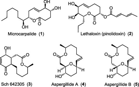 Figure 1 From Stereoselective Synthesis Of Five Biologically Active Naturally Occurring Medium