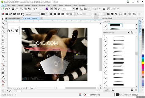 Coreldraw Graphics Suite X6 Windows 10 Lpgas