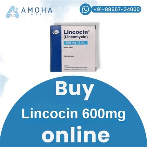 Lincocin Lincomycin 600mg 2ml Injection At ₹ 100vial In Surat Id