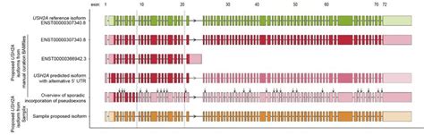 Elizabeth Tseng Phd On Linkedin Use Of Modified Pacbio Iso Seq
