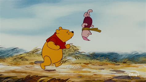 Its Not Wednesday…its Windsday 💨 The Many Adventures Of Winnie The
