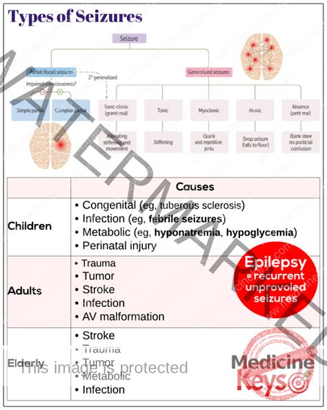 Types Of Seizures In The Elderly At Mike Fahey Blog