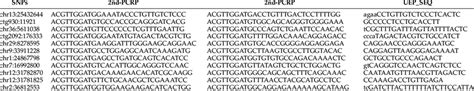 The Primer Sequence Of MALDI TOF MS Download Scientific Diagram