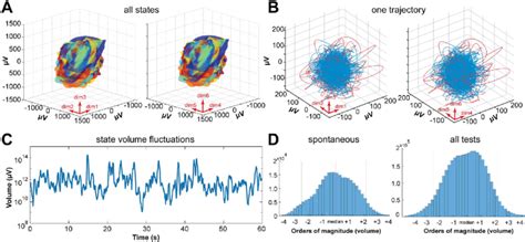 each local cortical network constrains dynamics to one location here