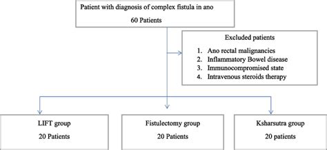 Algorithm That Shows Patient Selection Download Scientific Diagram