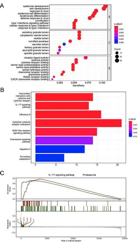 Functional And Pathway Enrichment Analysis Of Degs A Go Enrichment