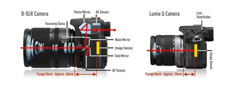 Cara Cara Dan Tips Memilih Kamera Digital Extra By Diyanazman