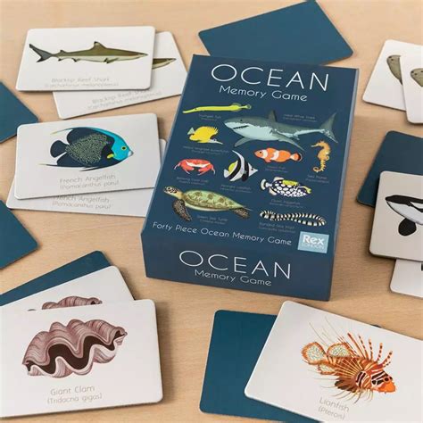 Ocean Memory Game Gallery Forty5 Felton Northumberland