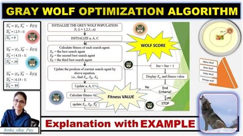 Aykut Fatih GÜven On Linkedin Grey Wolf Optimization Algorithm Gwo Step By Step Explanation With