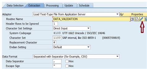 how to handle special characters in sap bw 4hana data loads