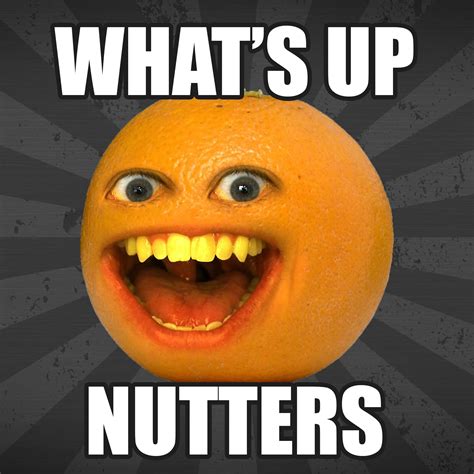 Nutters Memes