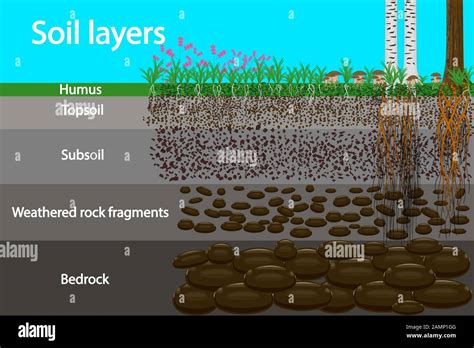 Soil Levels