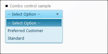 Combo Control AgileXRM Docs