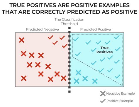 True Positive Explained Sharp Sight