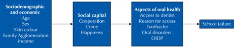 Hierarchical Conceptual Model For The Association Between Social
