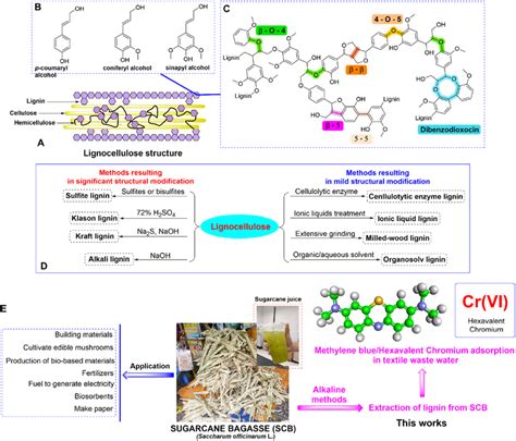 Representation Of The Lignocellulose Structure A Three Standard Download Scientific Diagram