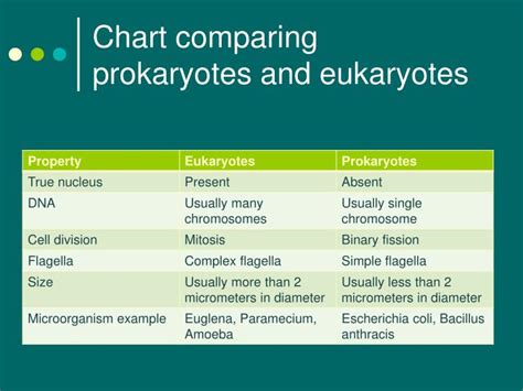 PPT 2 1 The Prokaryotes Eubacteria And Archaea PowerPoint Presentation ID 292112