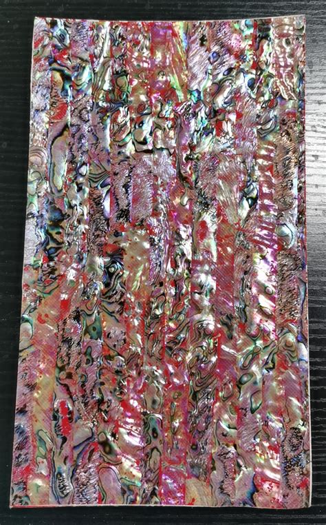 New Zealand Abalone Red I Shellshock Designs